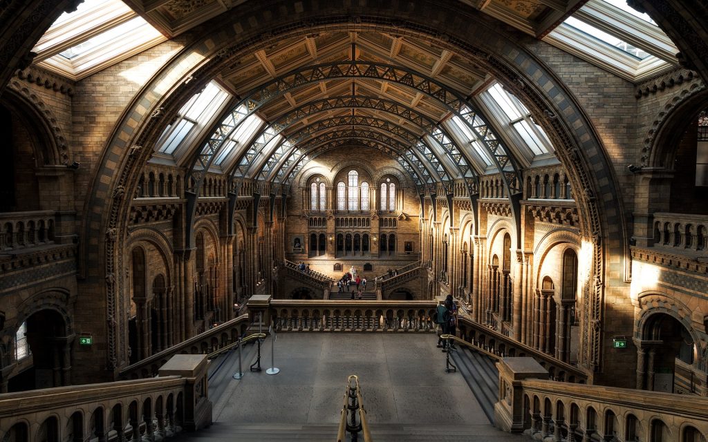 Musea Londen: de 4 beste tips voor liefhebbers van kunst en historie