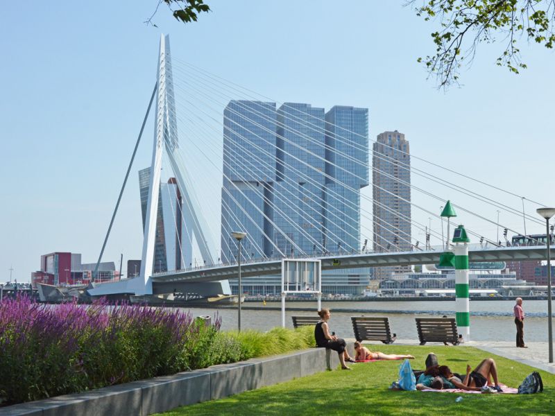 Entdecken Sie Rotterdam mit dem Fahrrad! Tägliche Touren verfügbar